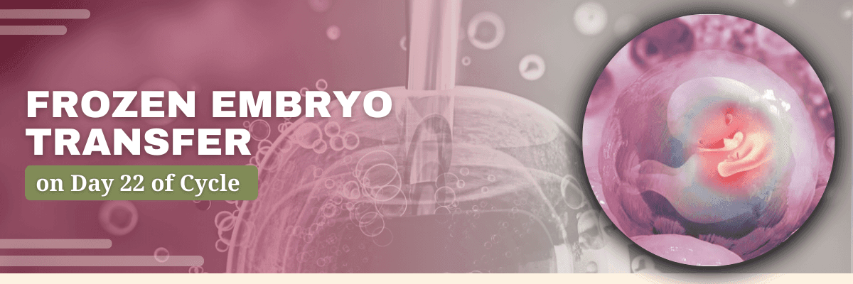 Frozen Embryo Transfer Frozen Embryo Transfer On Day 22 Of Cycle