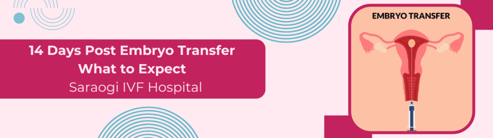 14 Days Post Embryo Transfer: What to Expect | Saraogi IVF Hospital