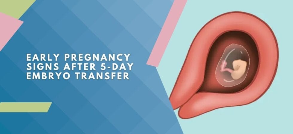 Pregnancy symptoms after Day 5 embryo transfer | Dr. Mohit Saraogi